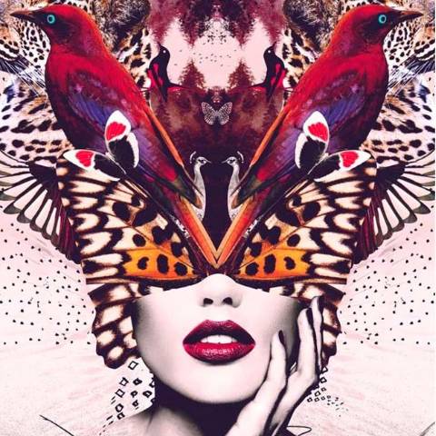Olly Howe Limited Edition Prints For Sale | We Have Your Prints